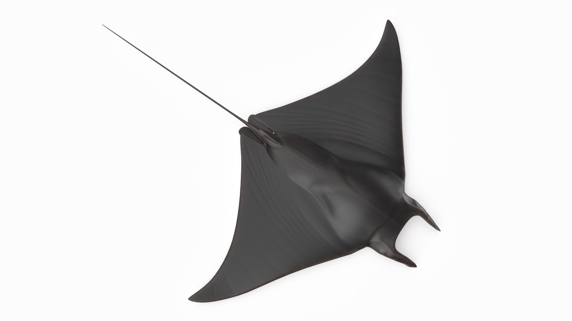 3D Lesser Devil Model - TurboSquid 1450775