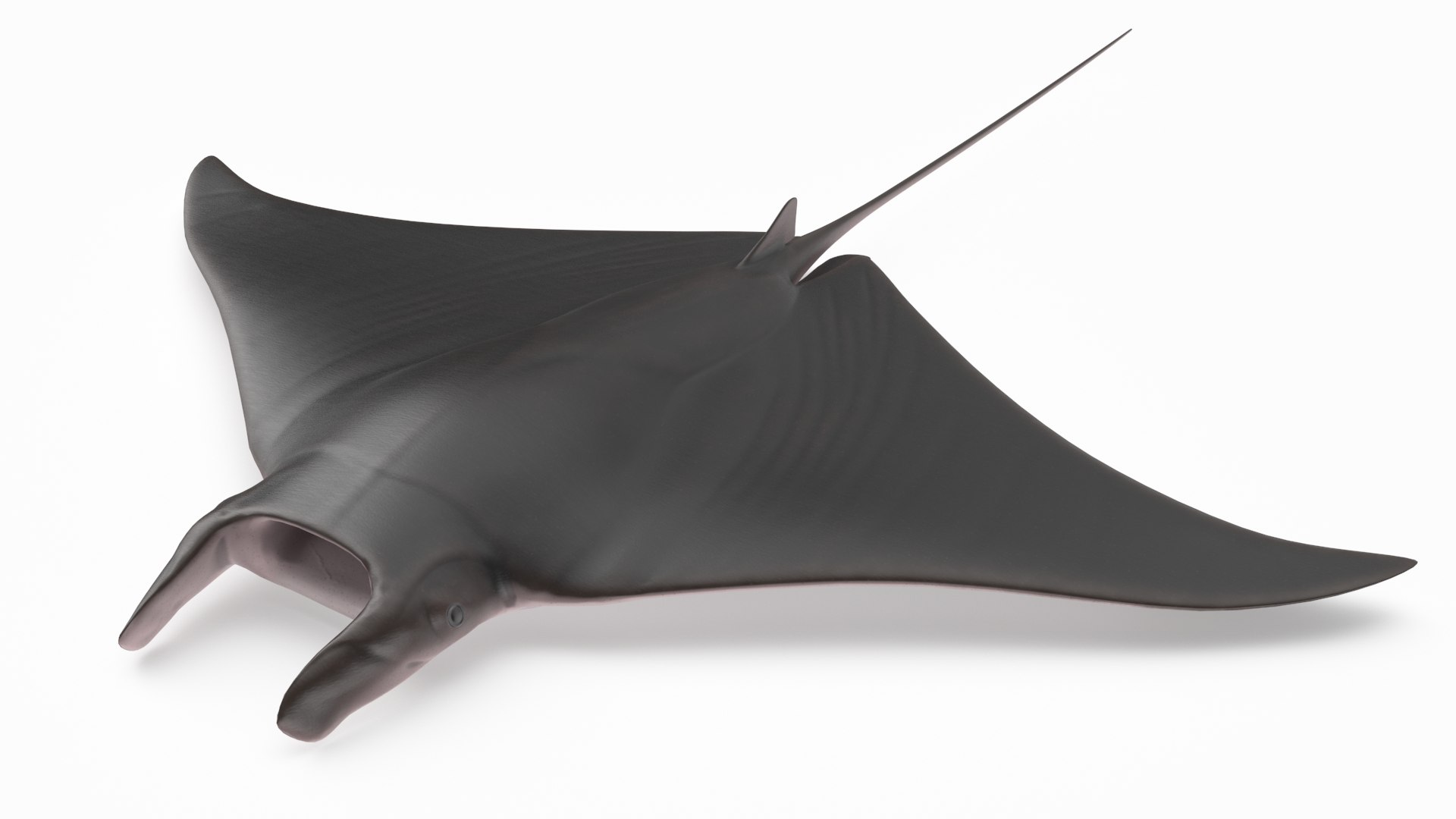 3D Lesser Devil Model - TurboSquid 1450775