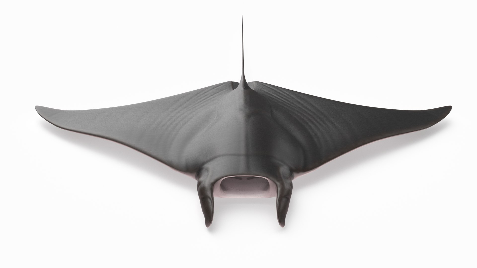 3D Lesser Devil Model - TurboSquid 1450775