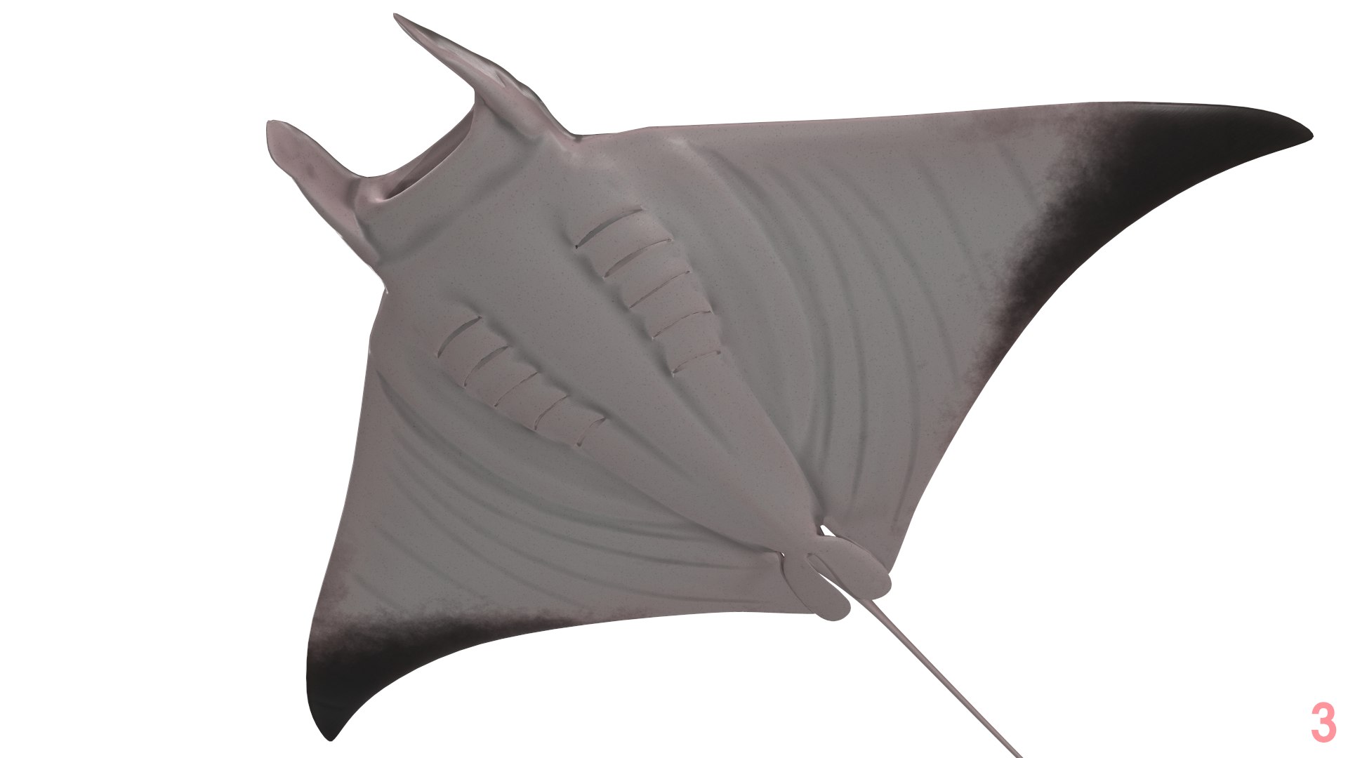 3D Lesser Devil Model - TurboSquid 1450775