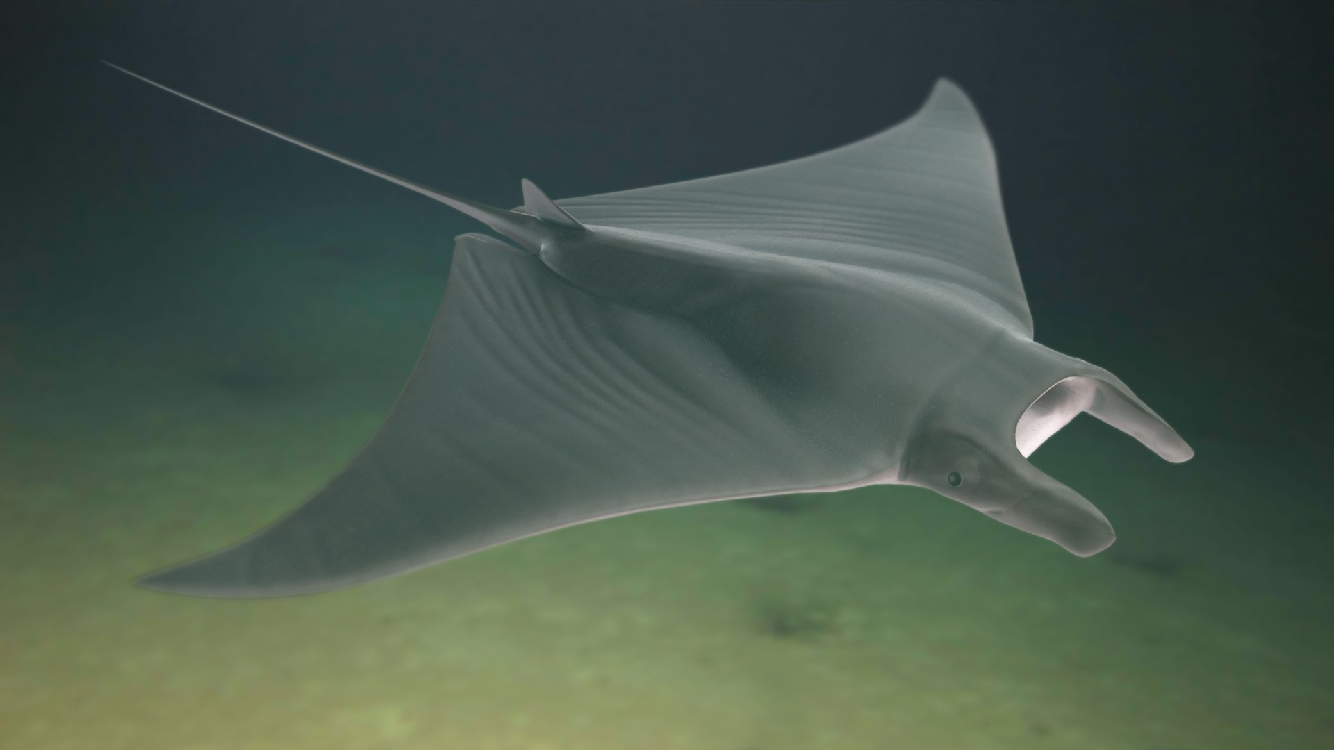 3D Lesser Devil Model - TurboSquid 1450775