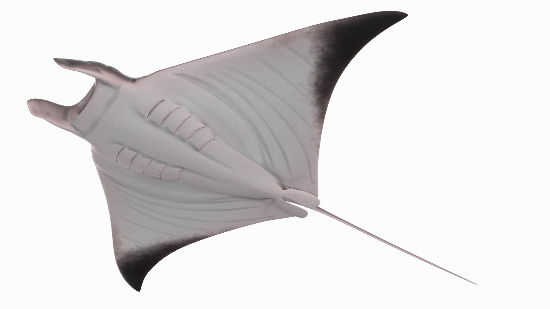 3D Lesser Devil Model - TurboSquid 1450775