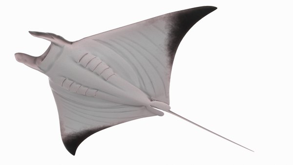 3D lesser devil model - TurboSquid 1450775