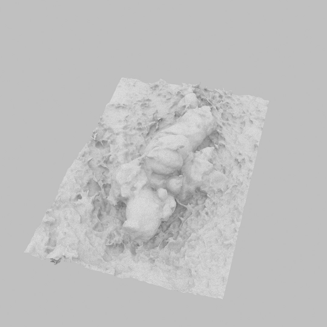 Poop Poo Dog 3D Model - TurboSquid 1372055