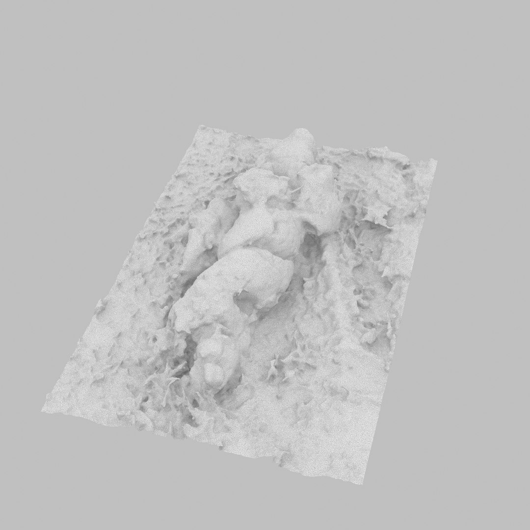 Poop Poo Dog 3D Model - TurboSquid 1372055