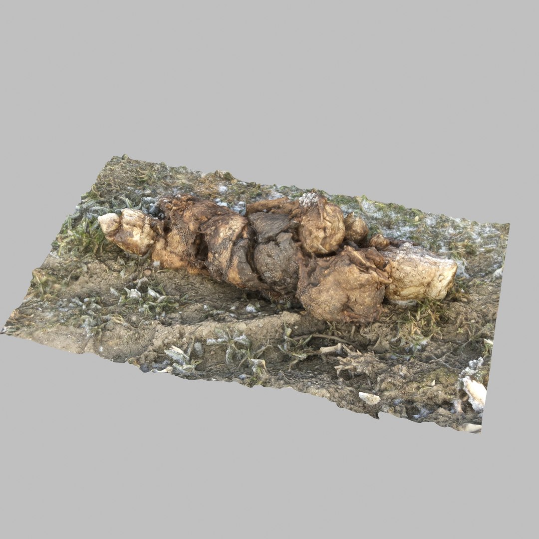 Poop Poo Dog 3D Model - TurboSquid 1372055