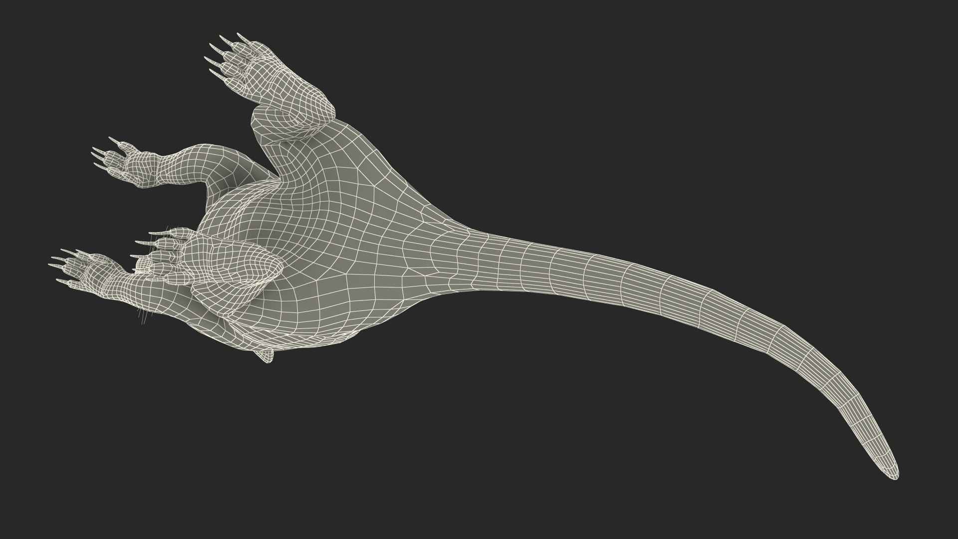 3D Coati Standing Pose Fur - TurboSquid 2193842