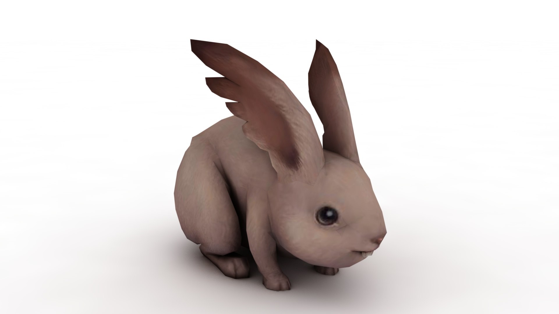 Rabbit 3D Model - TurboSquid 1960988