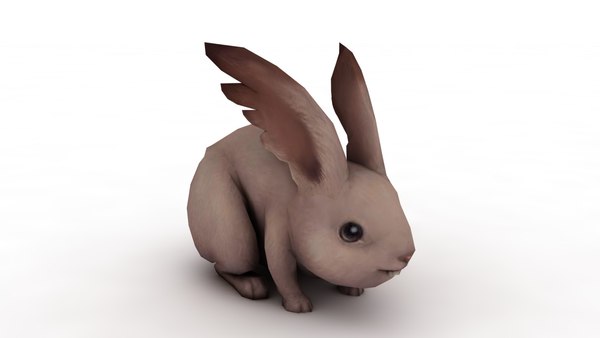 Rabbit 3D 모델 - TurboSquid 1960988