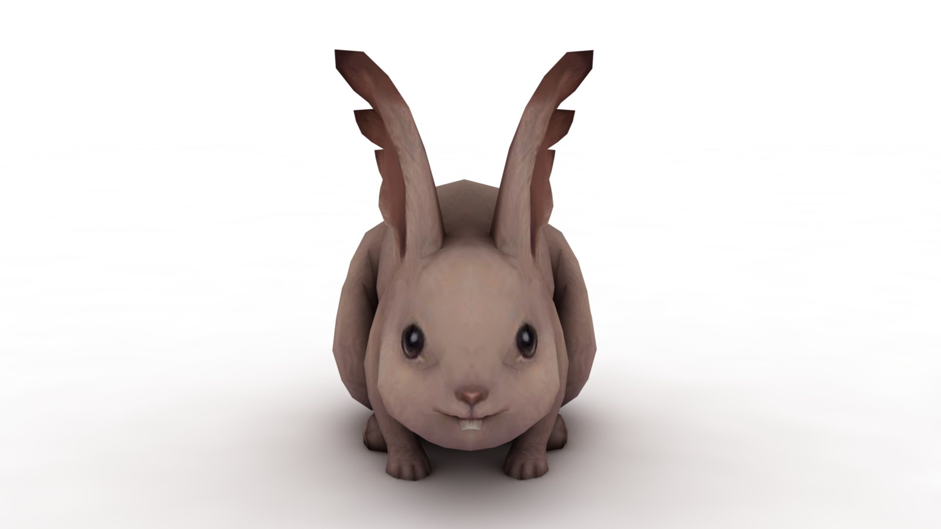 Rabbit 3D Model - TurboSquid 1960988
