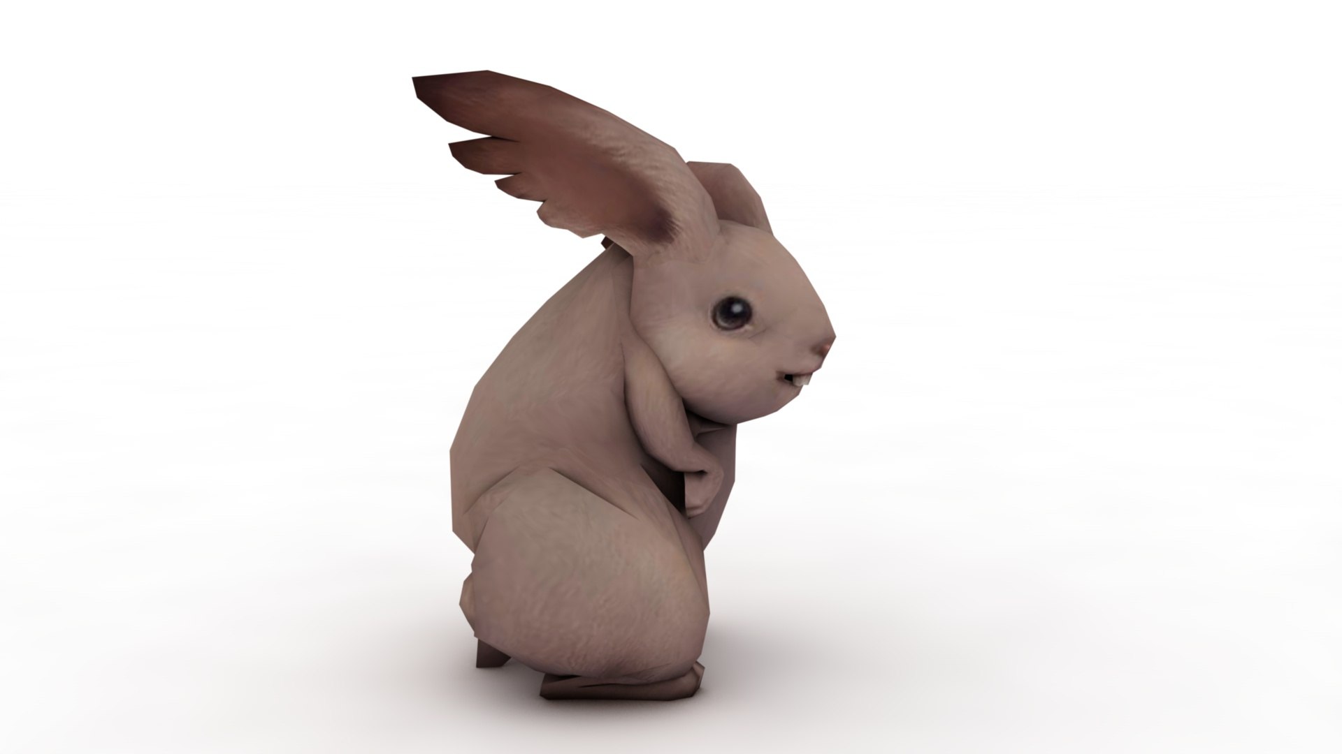 Rabbit 3D Model - TurboSquid 1960988