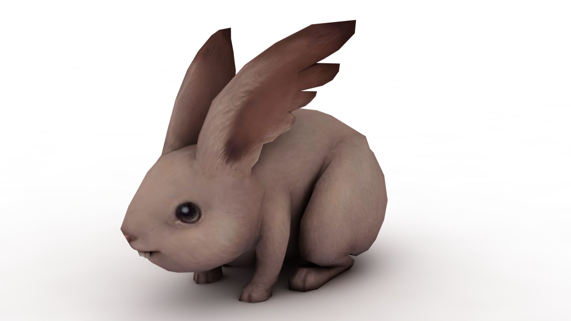 Rabbit 3D Model - TurboSquid 1960988