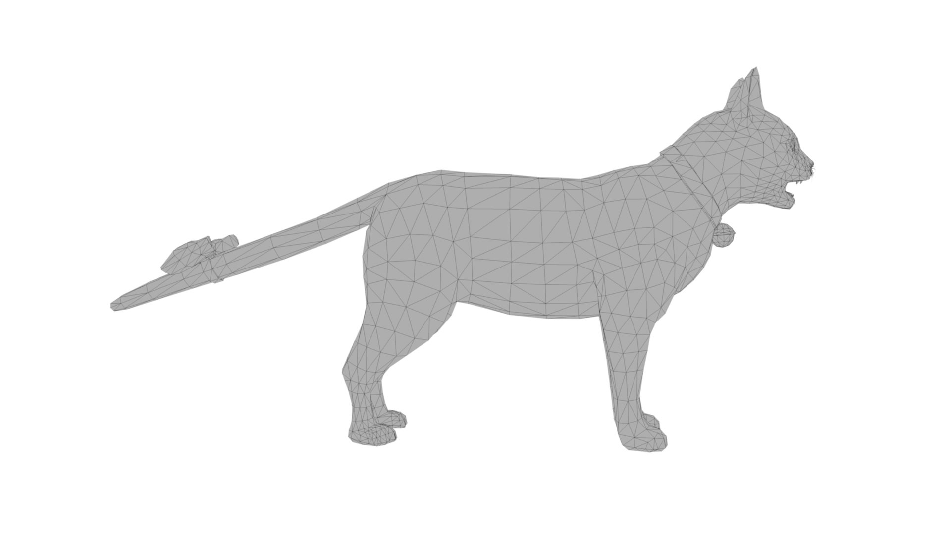 3D Cat Model - TurboSquid 2238586