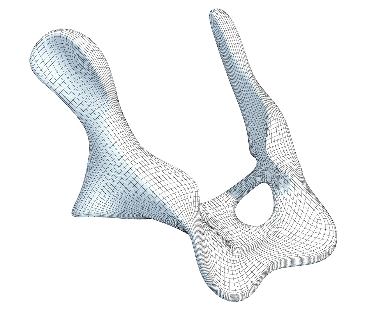 Animal Pelvis Model - TurboSquid 1177716