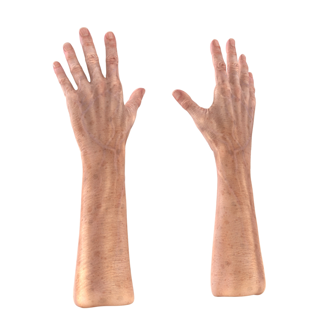 old man hands 3 3d model