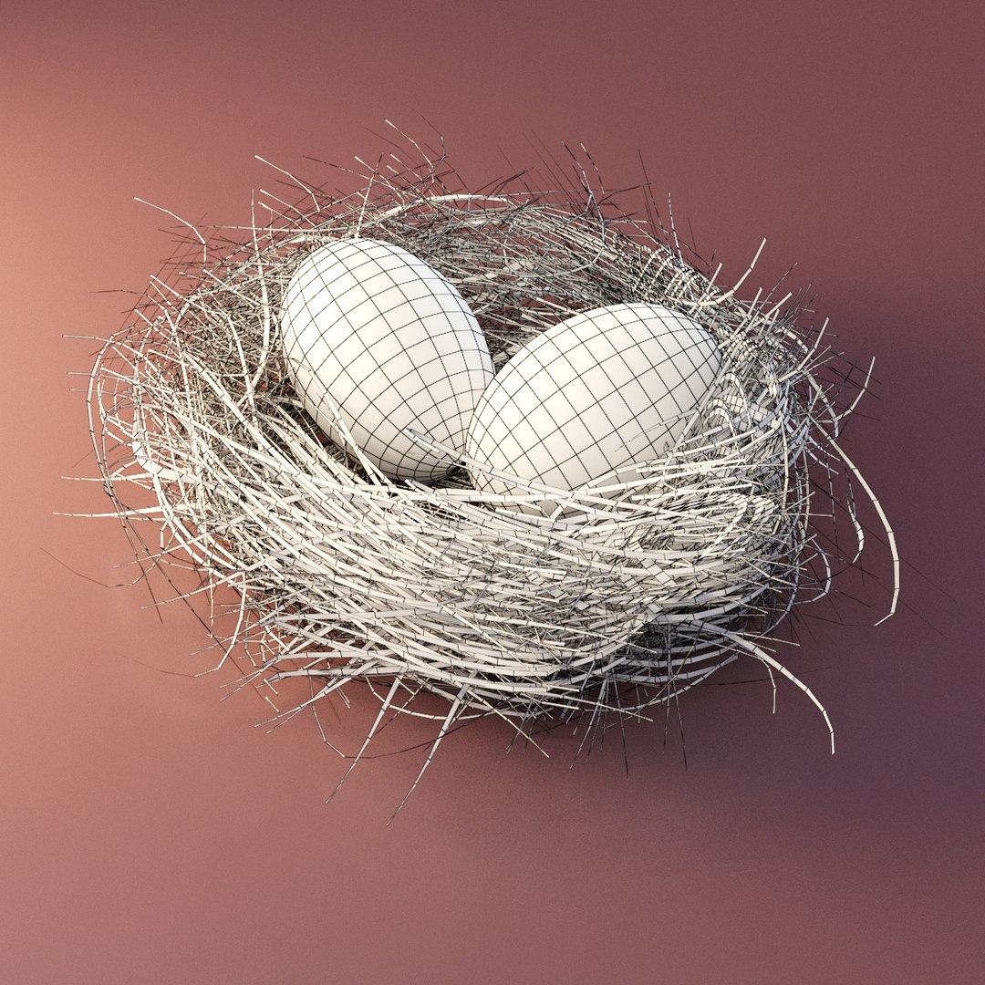 3D Bird Nest Model - TurboSquid 1401824