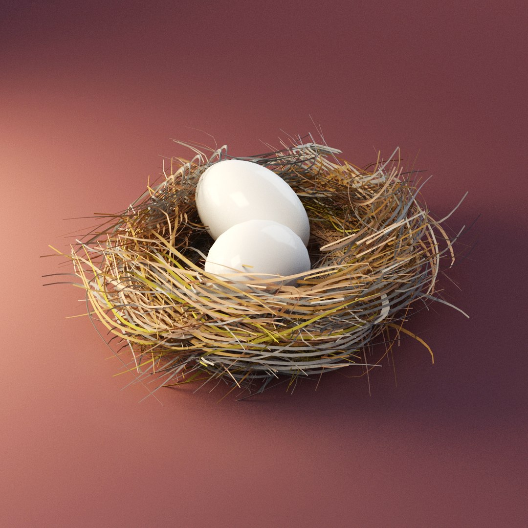 3D Bird Nest Model - TurboSquid 1401824
