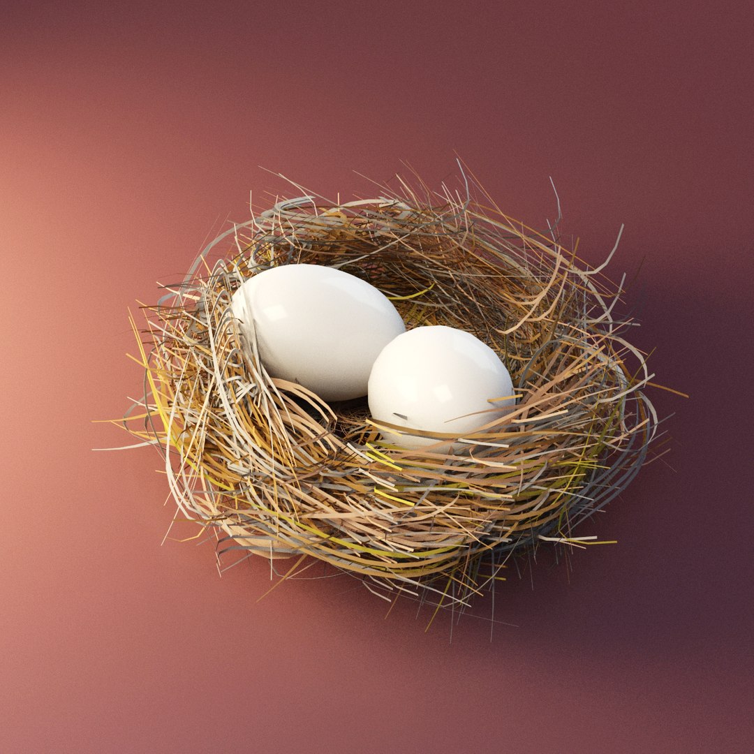 3D Bird Nest Model - TurboSquid 1401824