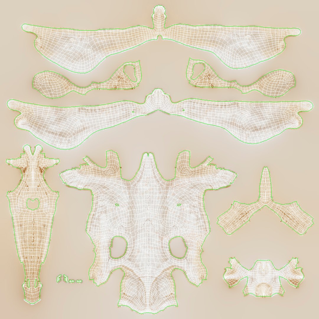 Horse Skeleton Anatomy Rigged Model - TurboSquid 2396466