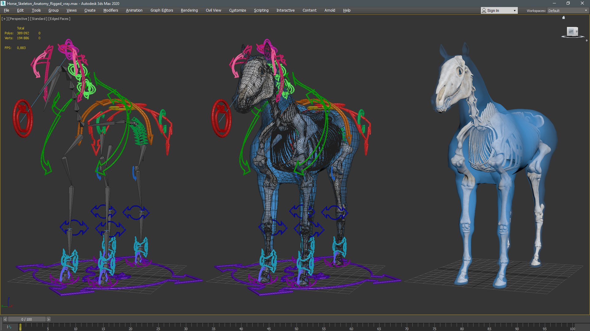 Horse Skeleton Anatomy Rigged Model - TurboSquid 2396466