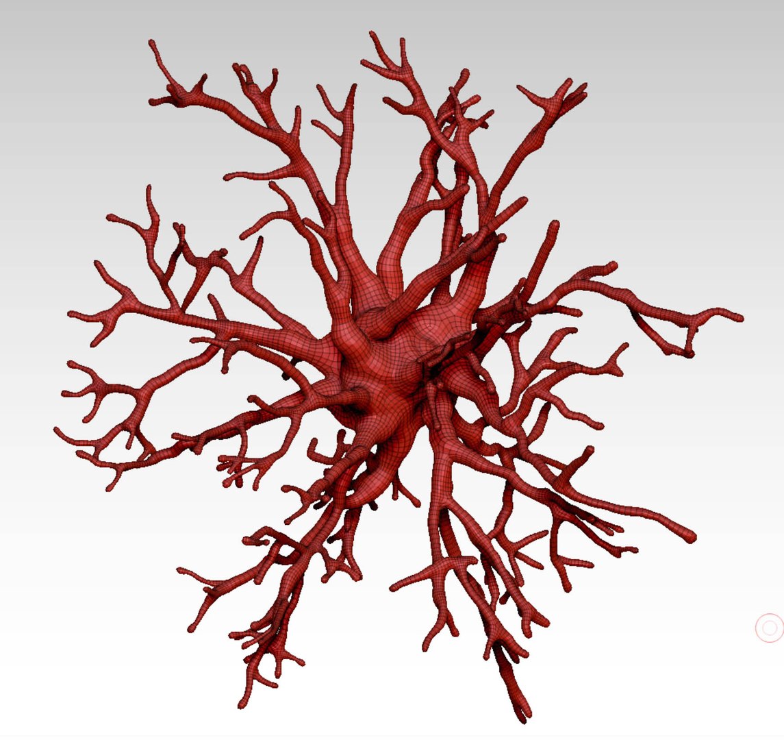 3D Model Protoplasmic Astrocytes - TurboSquid 1391038