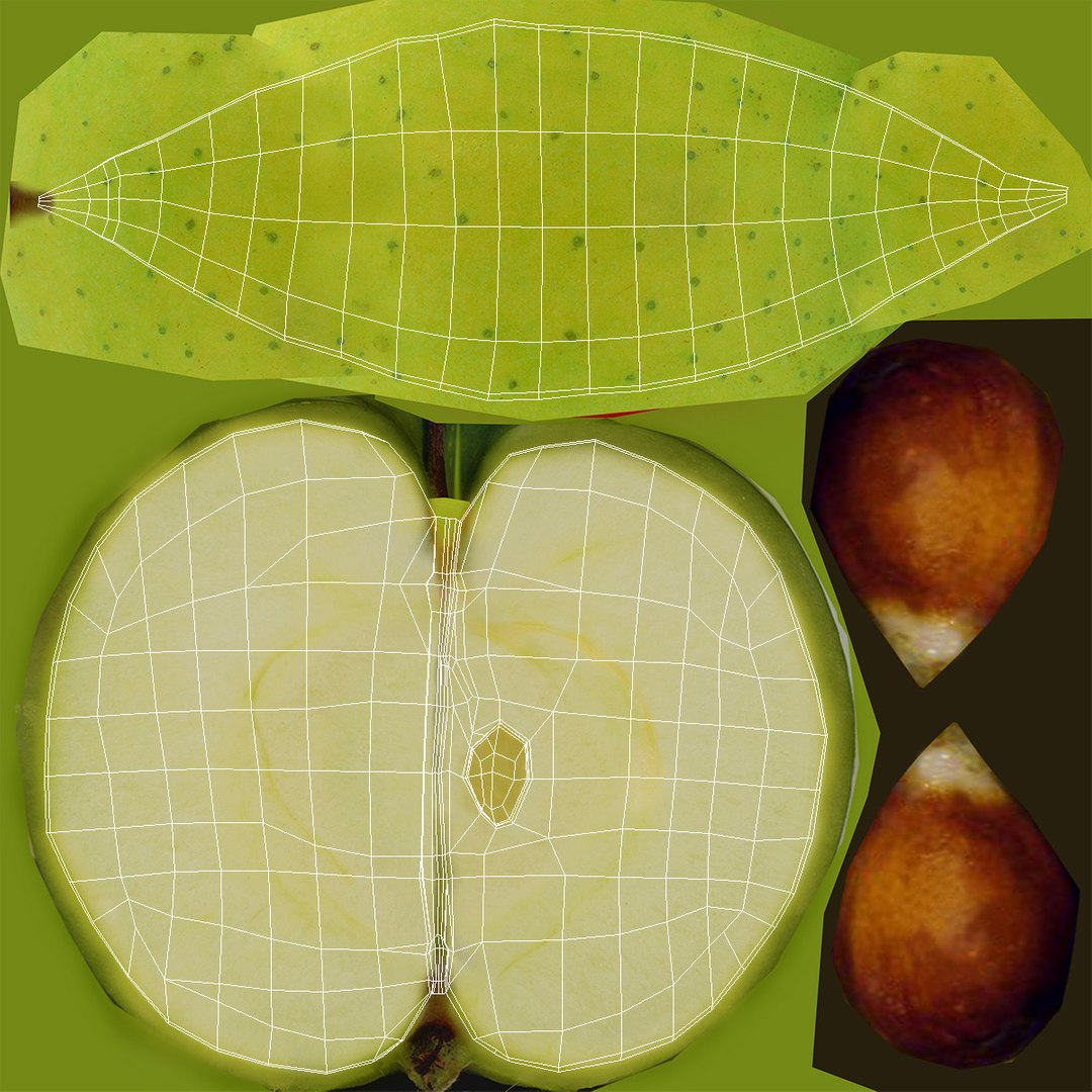 Realistic Green Apple Slice 3D Model - TurboSquid 2209627