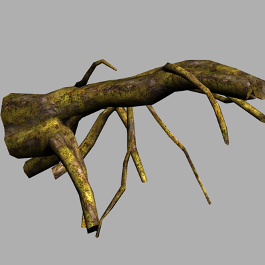 3d Root Drift Driftwood