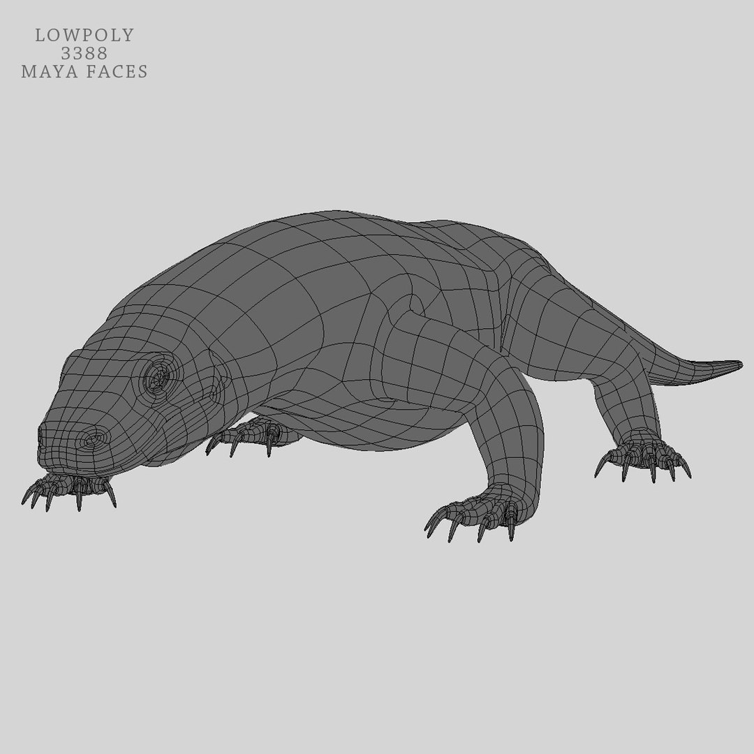 Photorealistic Komodo Dragon 3d Model