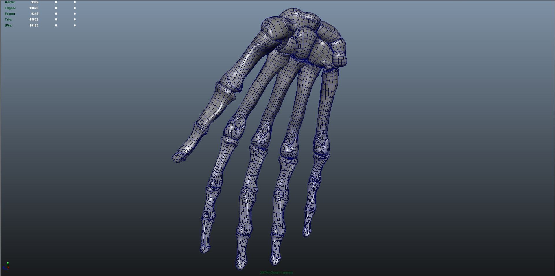 Human Wrist Hand Bones Obj