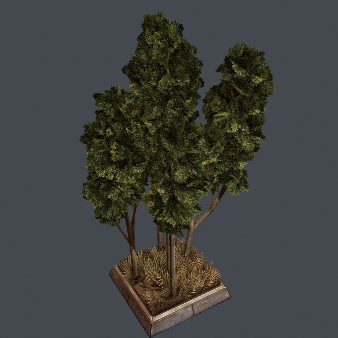 Tree Gen 3d Obj