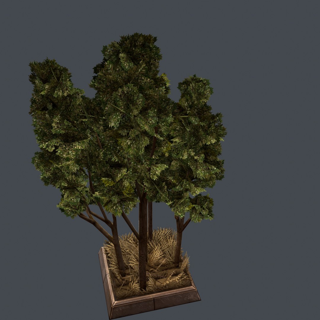 Tree Gen 3d Obj