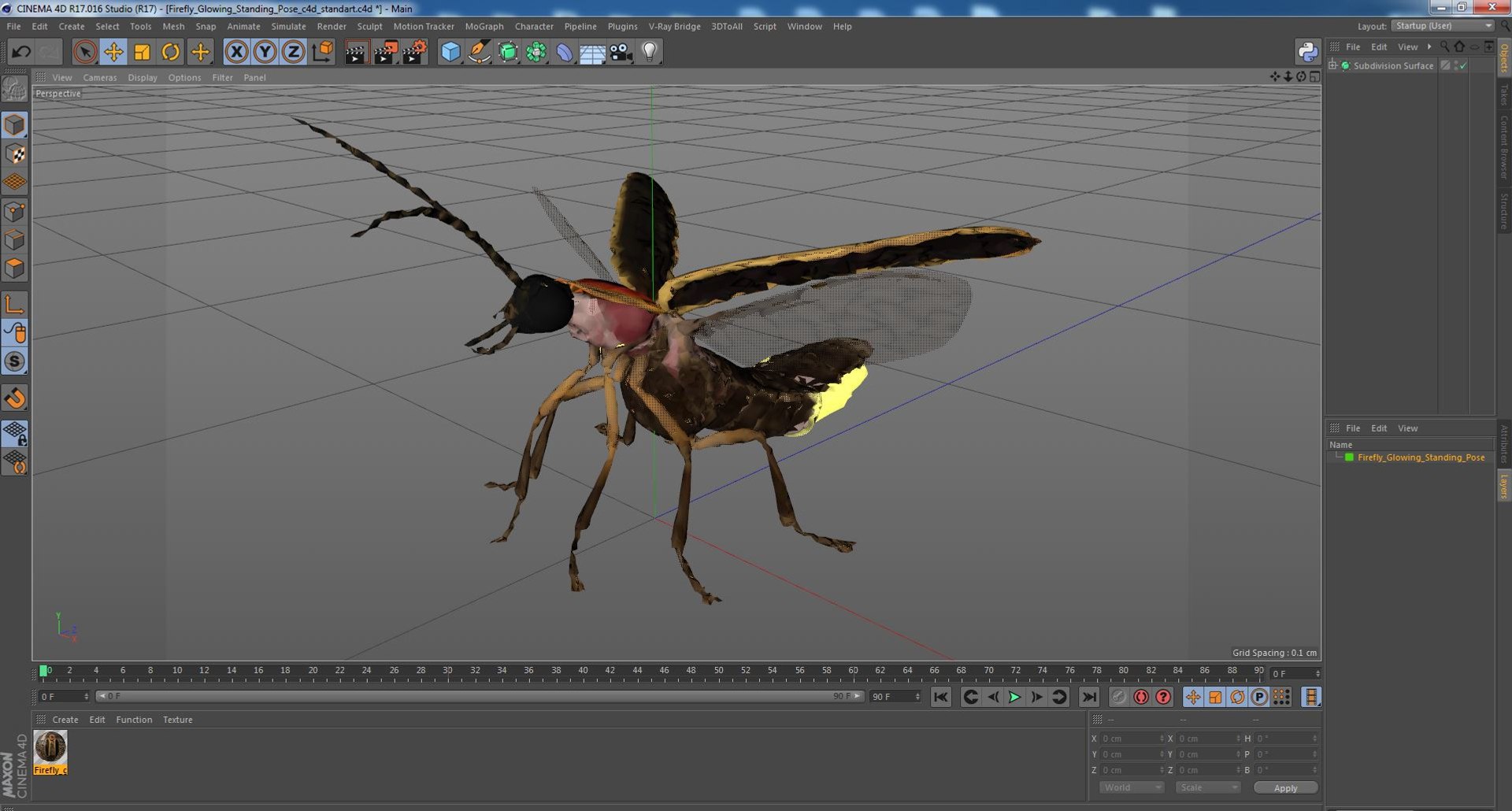 Firefly Glowing Standing Pose Model - TurboSquid 2171913