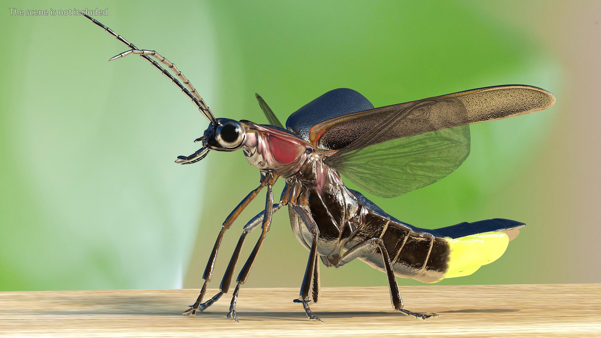 Firefly Glowing Standing Pose Model - TurboSquid 2171913