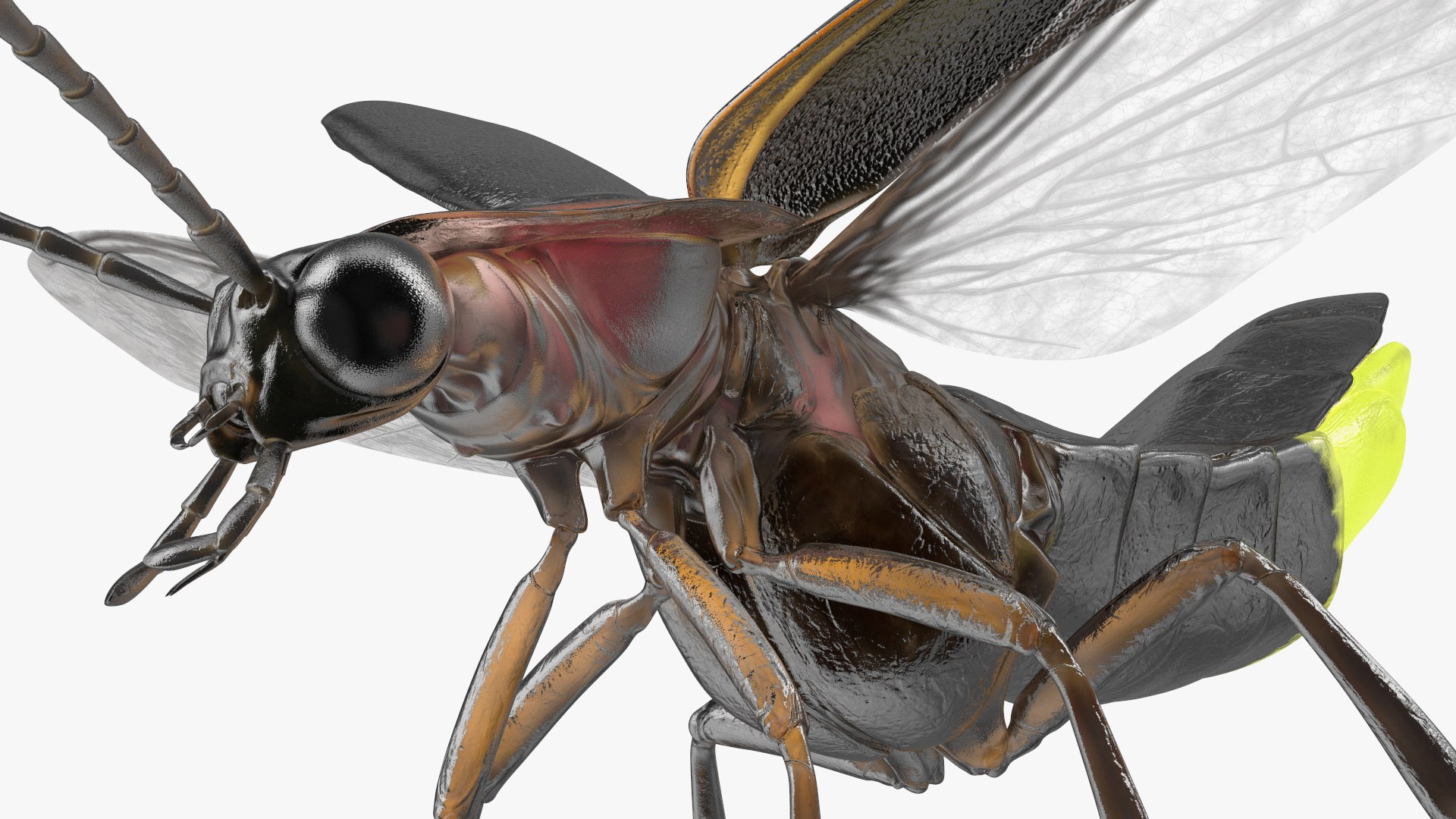 Firefly Glowing Standing Pose Model - TurboSquid 2171913