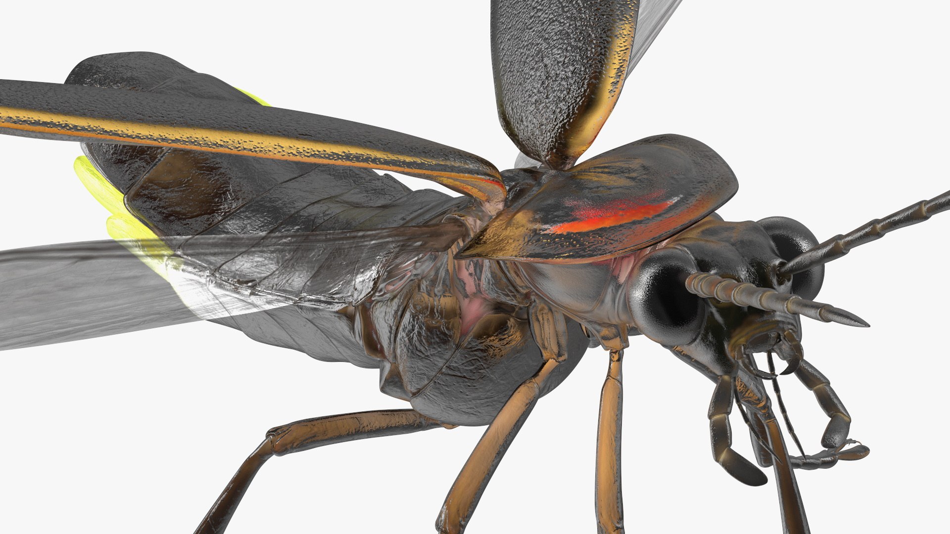 Firefly Glowing Standing Pose Model - TurboSquid 2171913