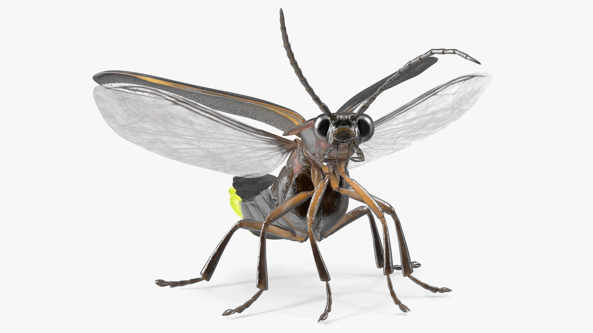 Firefly Glowing Standing Pose Model - TurboSquid 2171913
