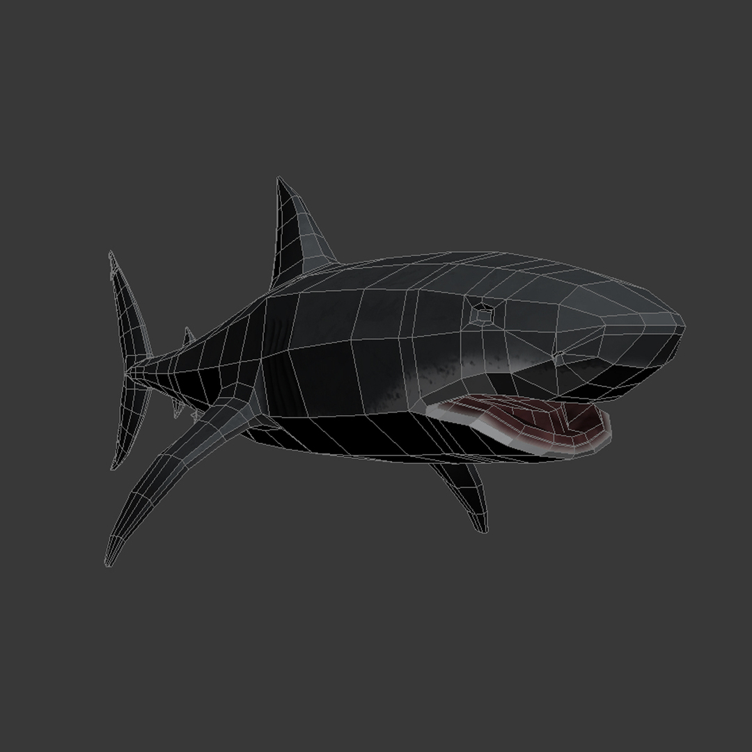 3d model shark animation