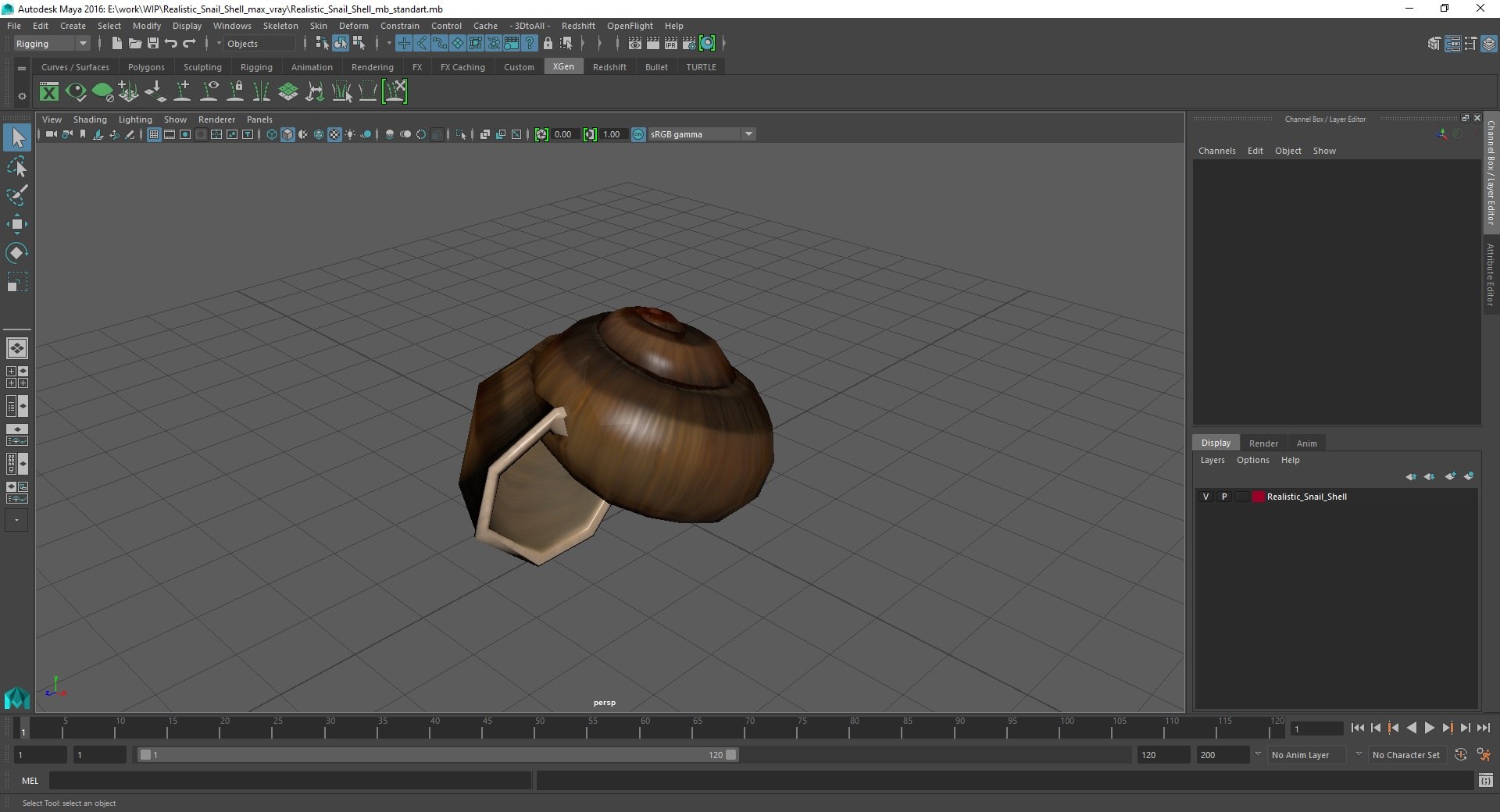 Realistic Snail Shell Model - TurboSquid 2237010