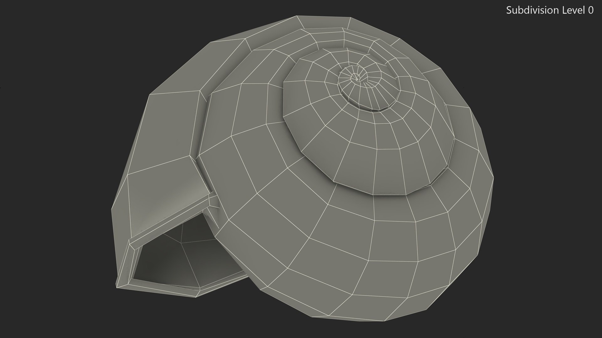 Realistic Snail Shell Model - TurboSquid 2237010