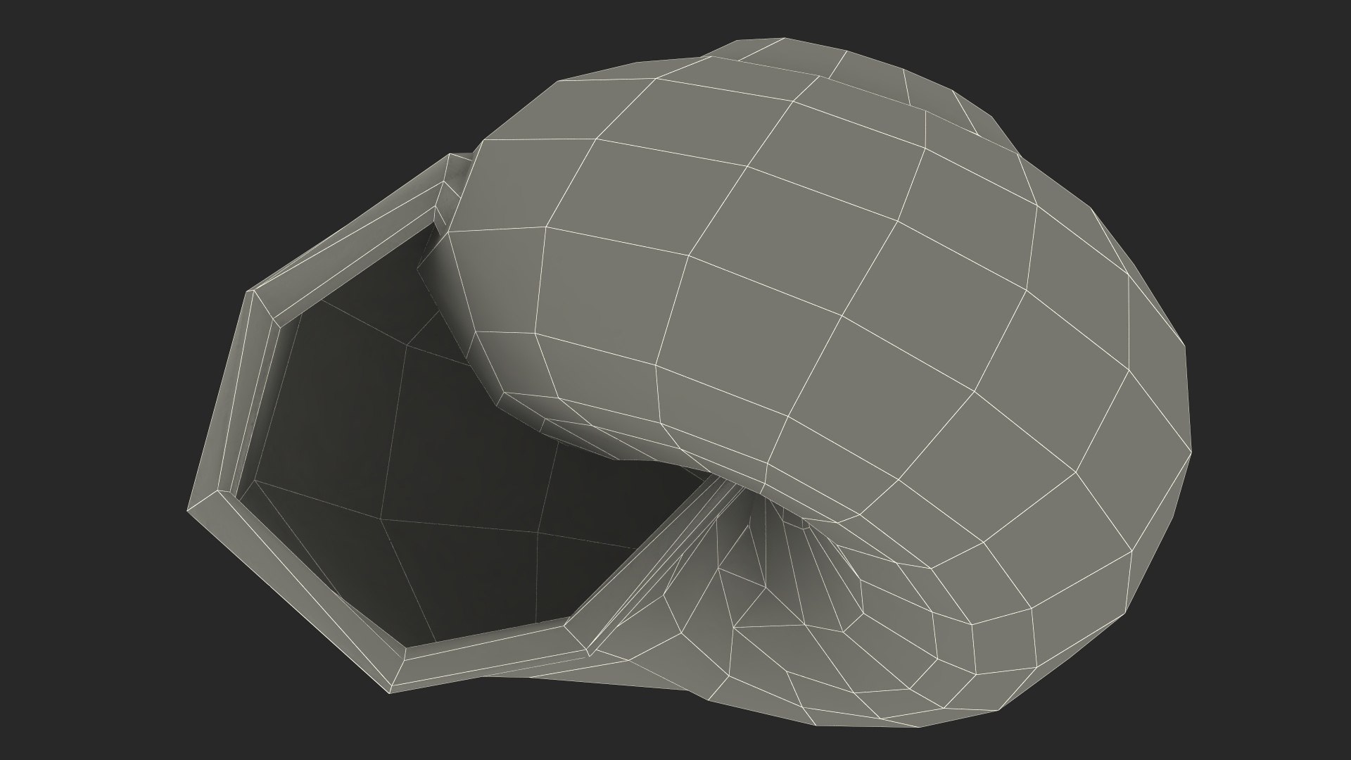 Realistic Snail Shell Model - TurboSquid 2237010