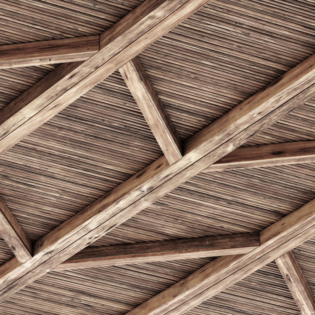 Ceiling Diagonal Branch Straight N1 3D Model - TurboSquid 1791755