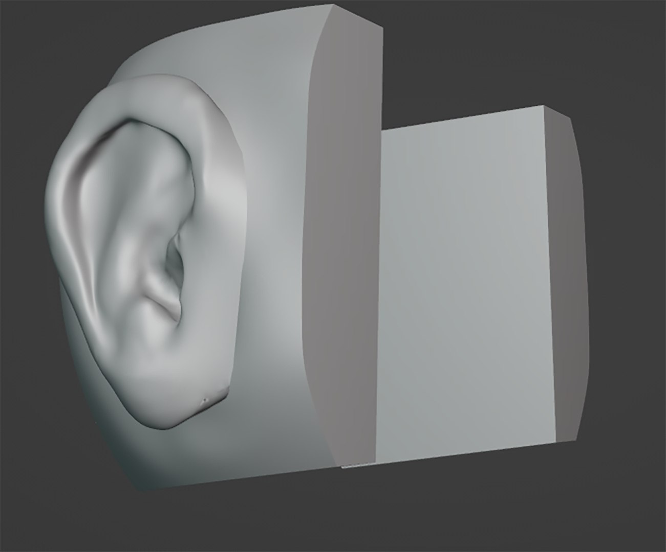 Blender 3D Detailed Ears Right And Left - TurboSquid 2382601