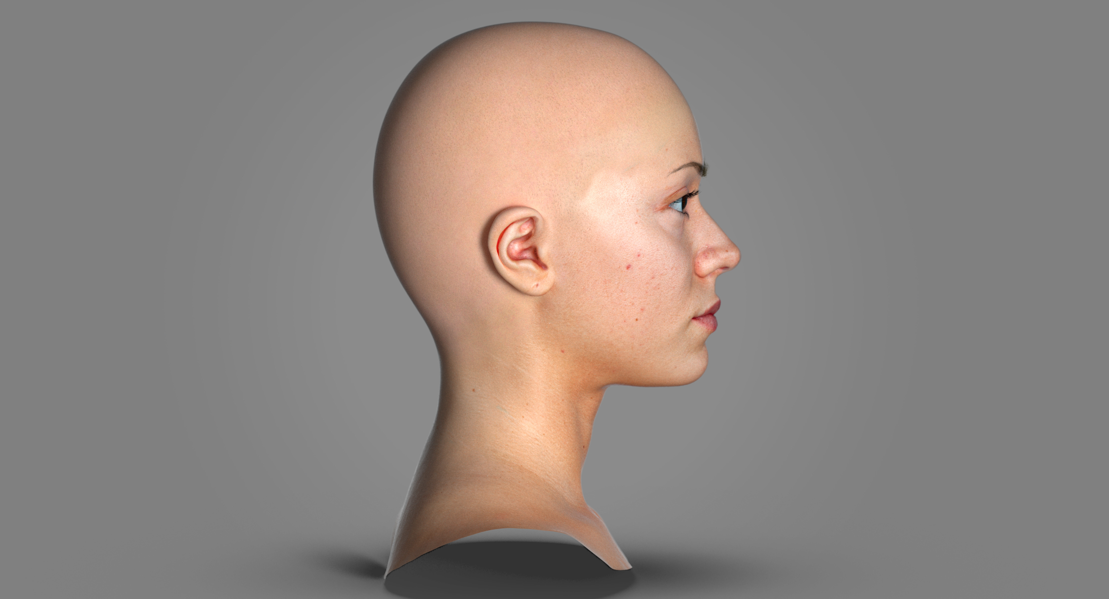 Real pbr freya human head 3D model - TurboSquid 1695919