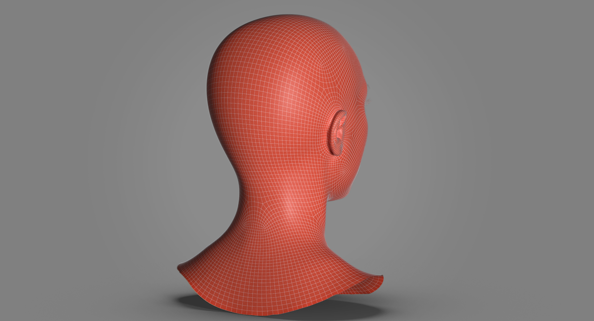 Real pbr freya human head 3D model - TurboSquid 1695919