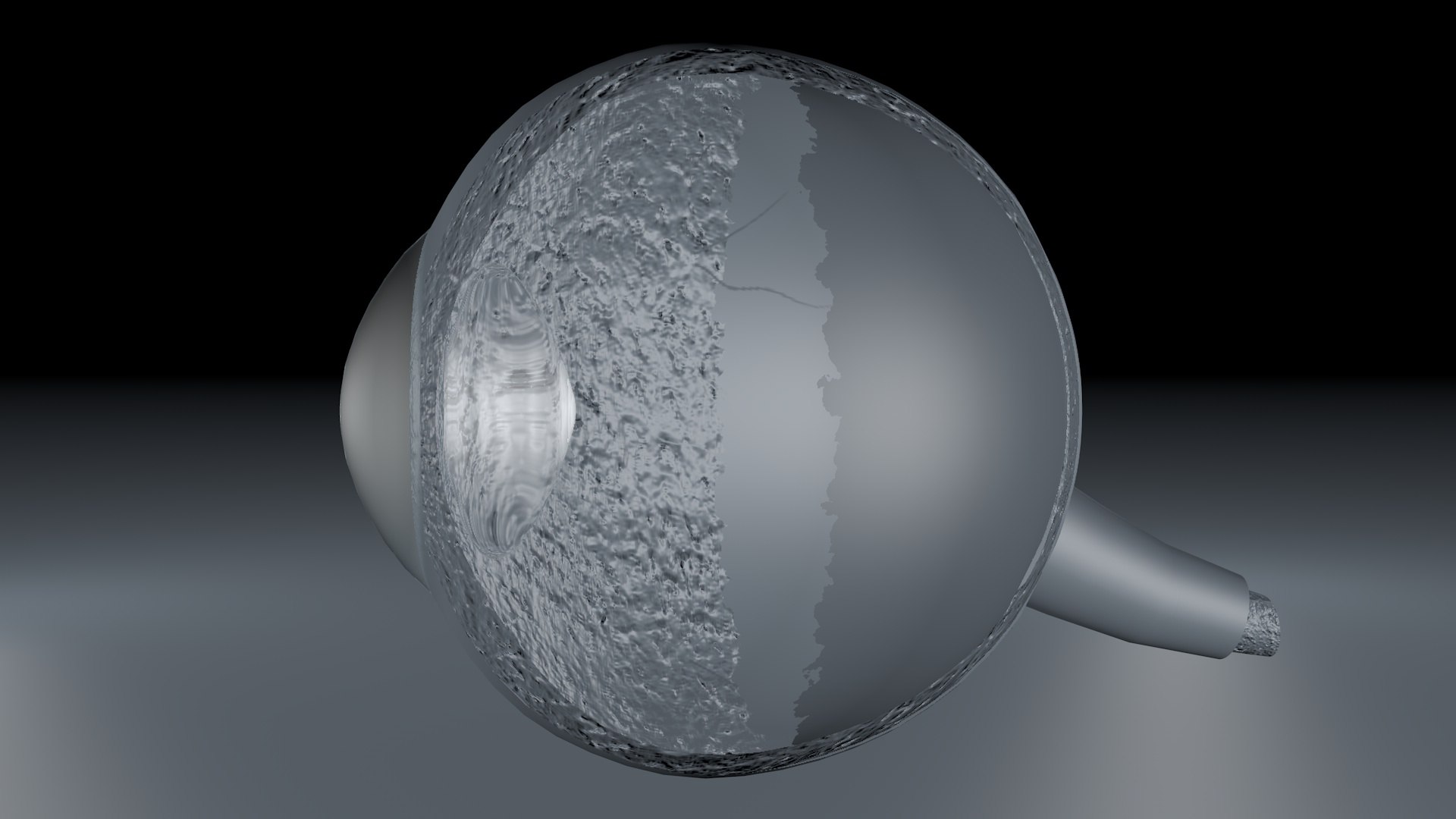 Eye Anatomy Human 3D Model - TurboSquid 1351147
