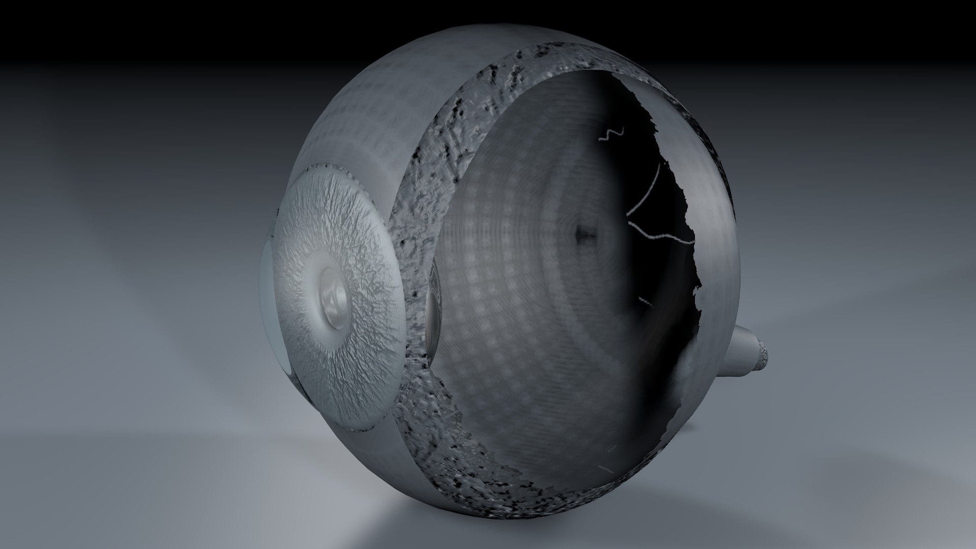 Eye Anatomy Human 3D Model - TurboSquid 1351147