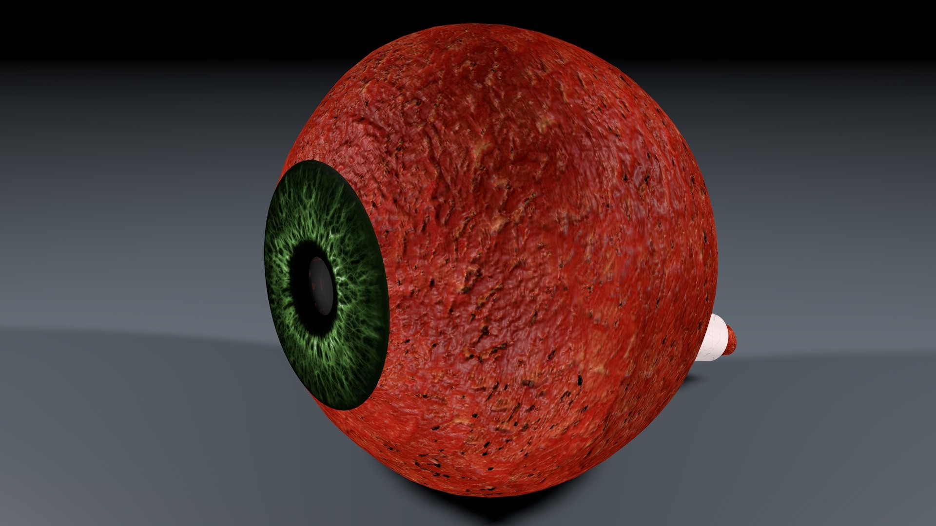 Eye Anatomy Human 3D Model - TurboSquid 1351147