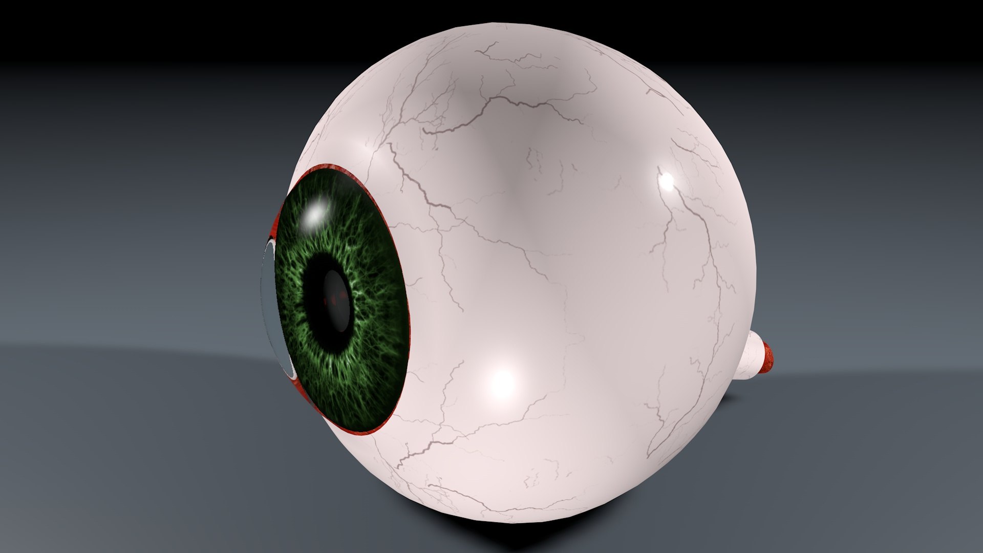 eye anatomy human 3D model https://p.turbosquid.com/ts-thumb/o0/D2gvYM ...