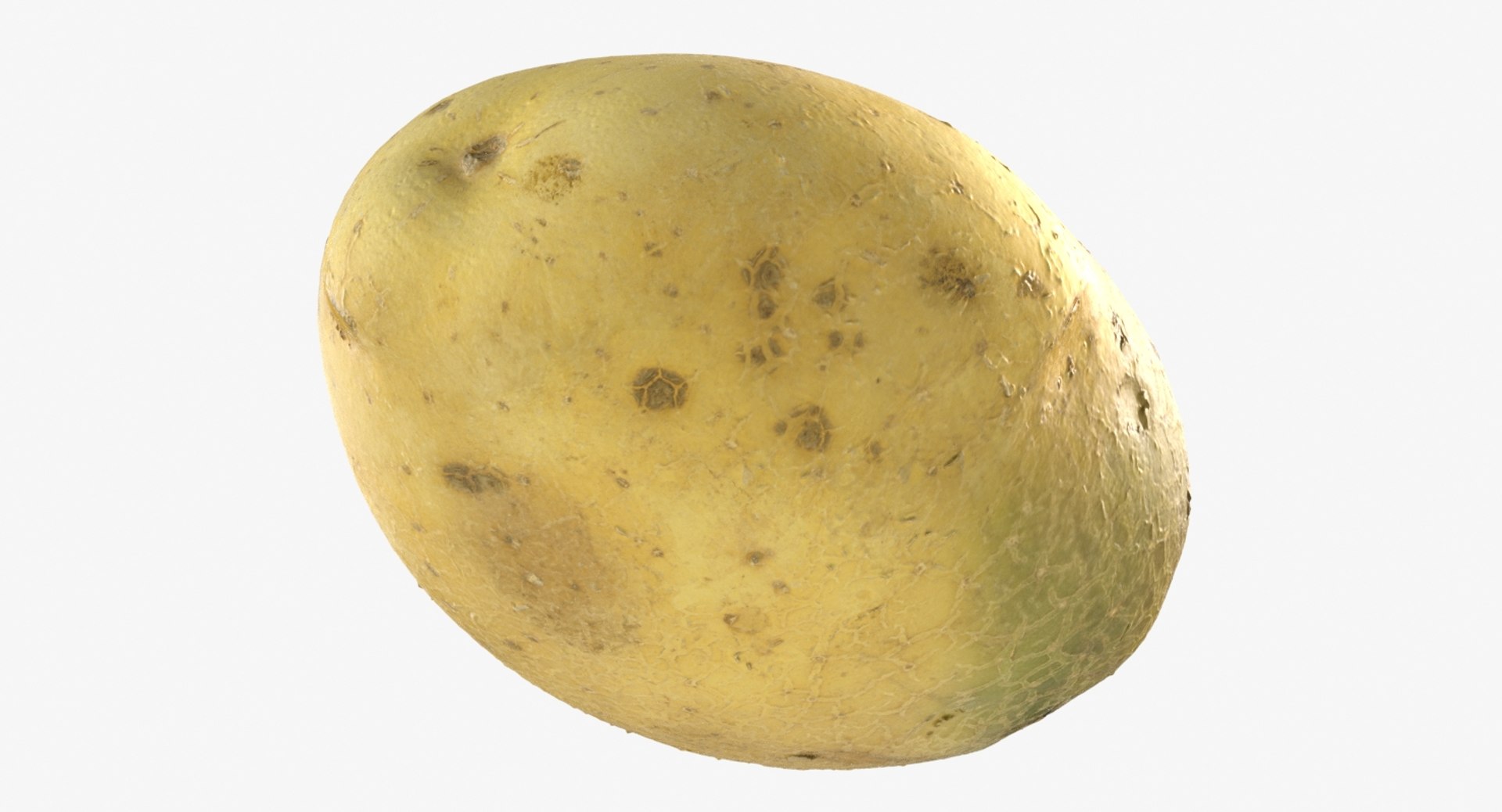 3D Model Potato Raw 2 - TurboSquid 1229962