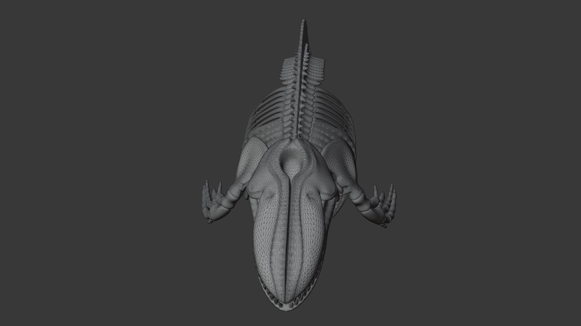 3D Killer Whale Orca Skeleton 3D Model Highly Detailed Clean Topology ...
